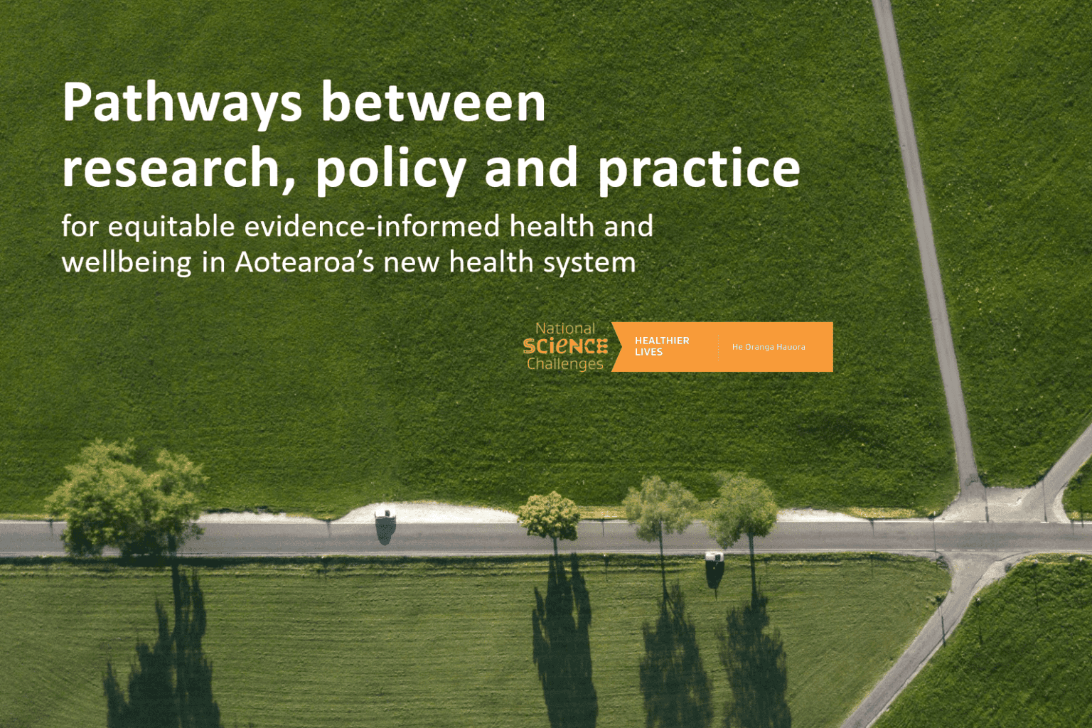 Healthier Lives - National Science Challenge