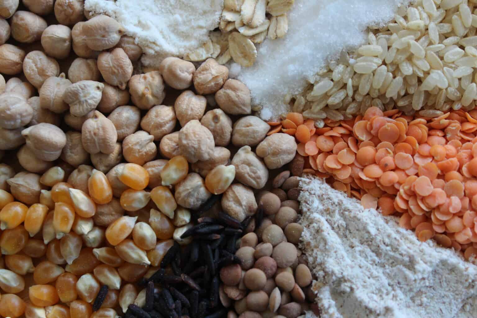 Healthier Lives - National Science Challenge